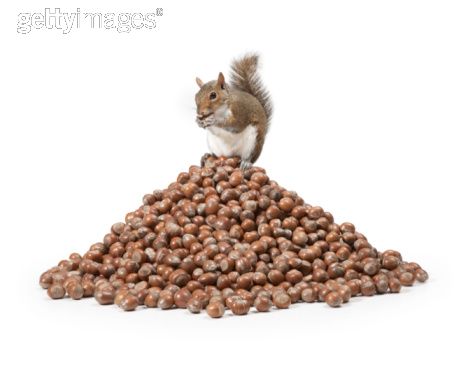 Foolish Perspective: Hoarding