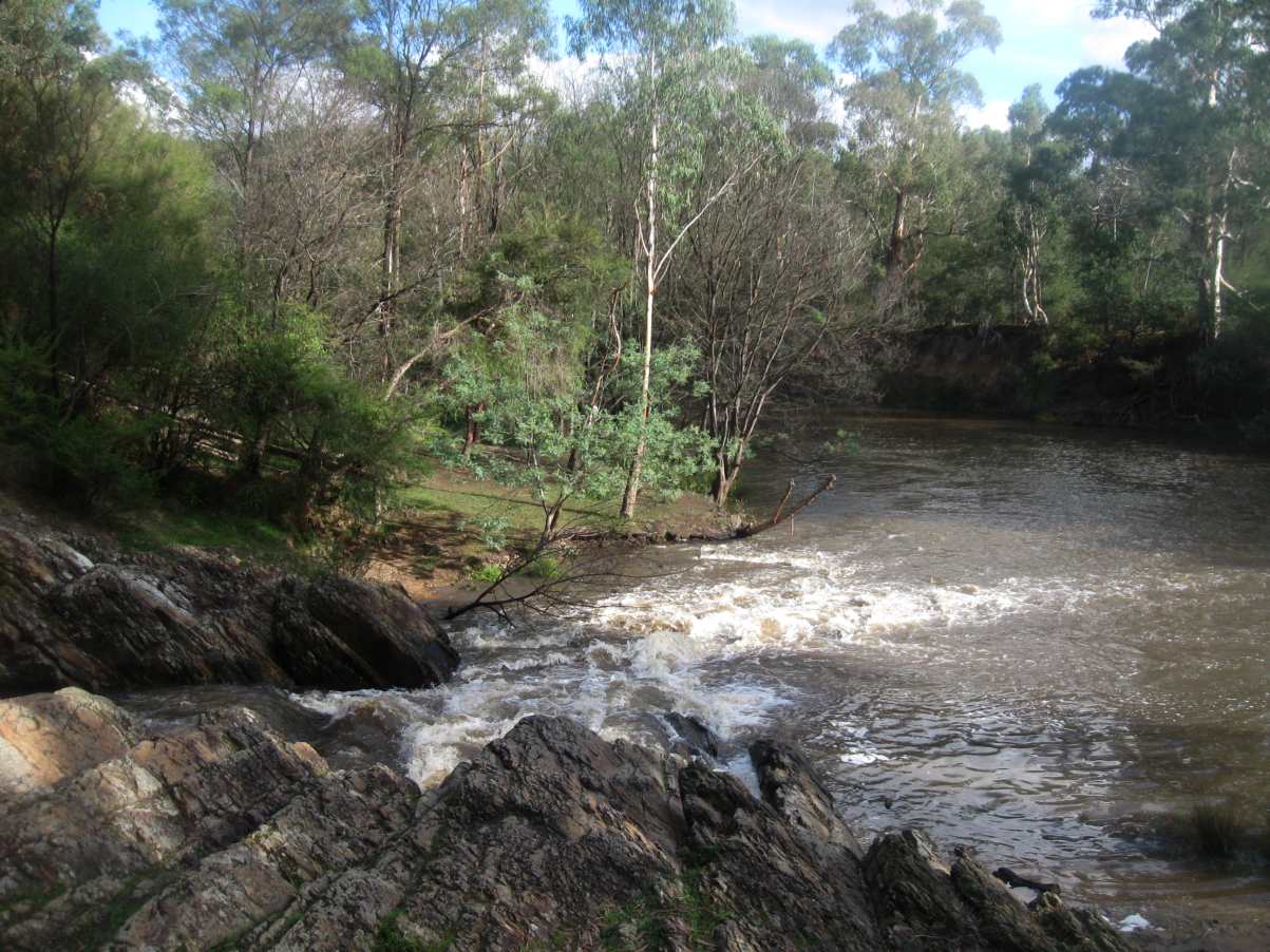 TRACKS, TRAILS AND COASTS NEAR MELBOURNE : Warrandyte State Park.