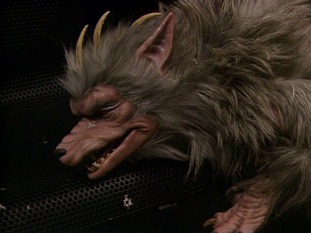 TARDIS Musings: F is for... Fifi