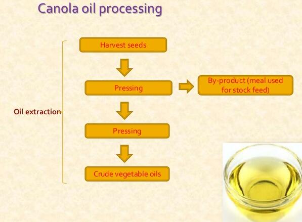 palm oil machine: canola oil, rape seeds oil, canola oil press, rape ...