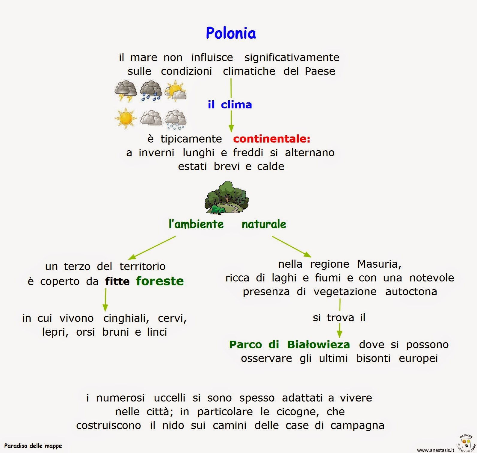 Paradiso delle mappe: Polonia: clima e ambiente naturale