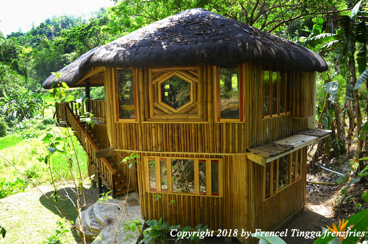 Frenz Fries: Lotus Valley Farm, San Juan La Union