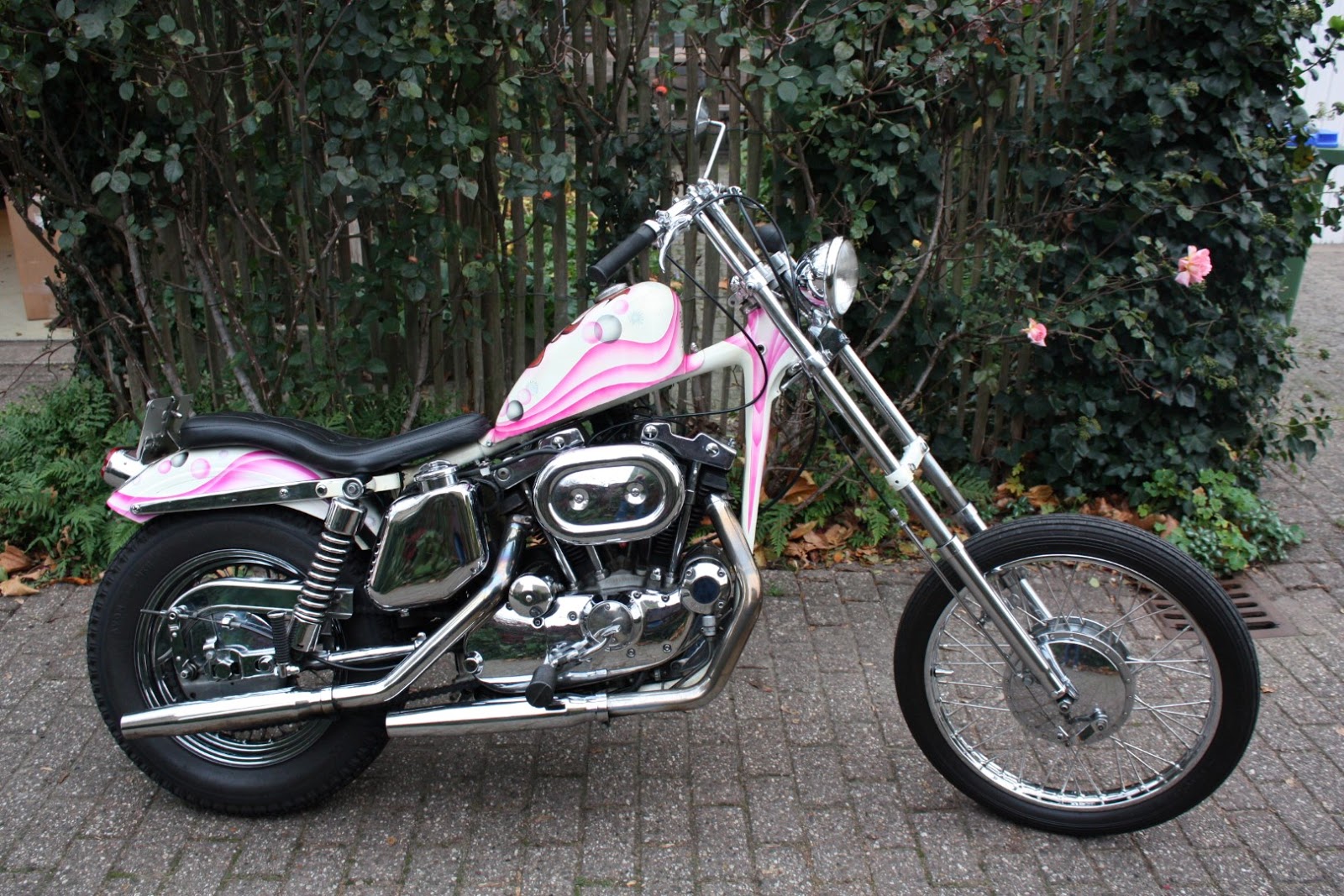 ZZ chop: Norcal Sportster