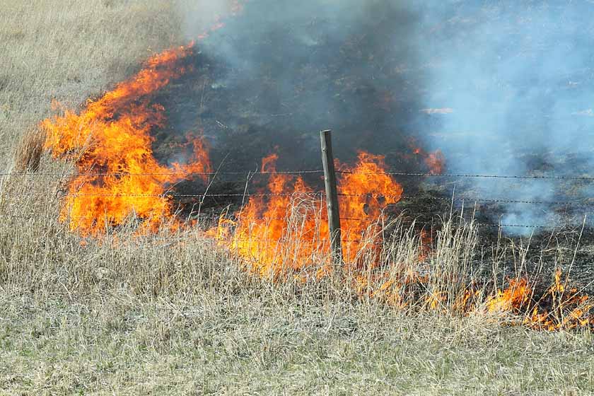 Rene Heil - Ranch Photographer: 96 degree...23 mph wind...dry...Grass Fire