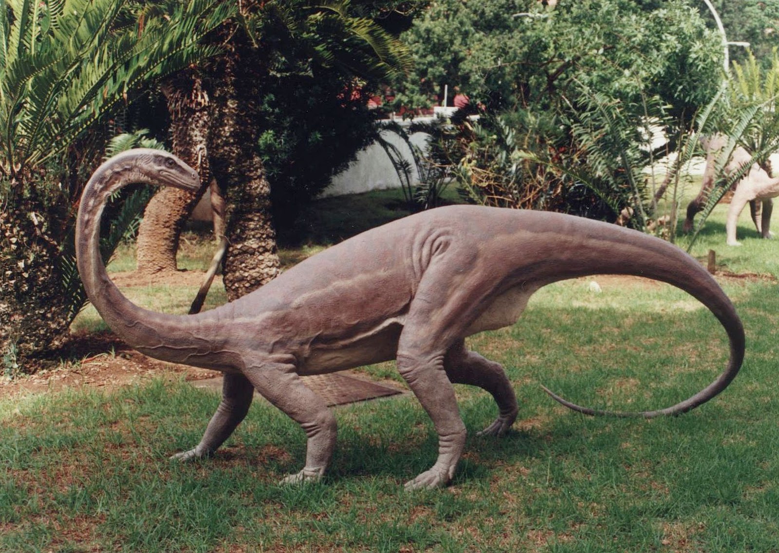 Gerhard Marx: Biography