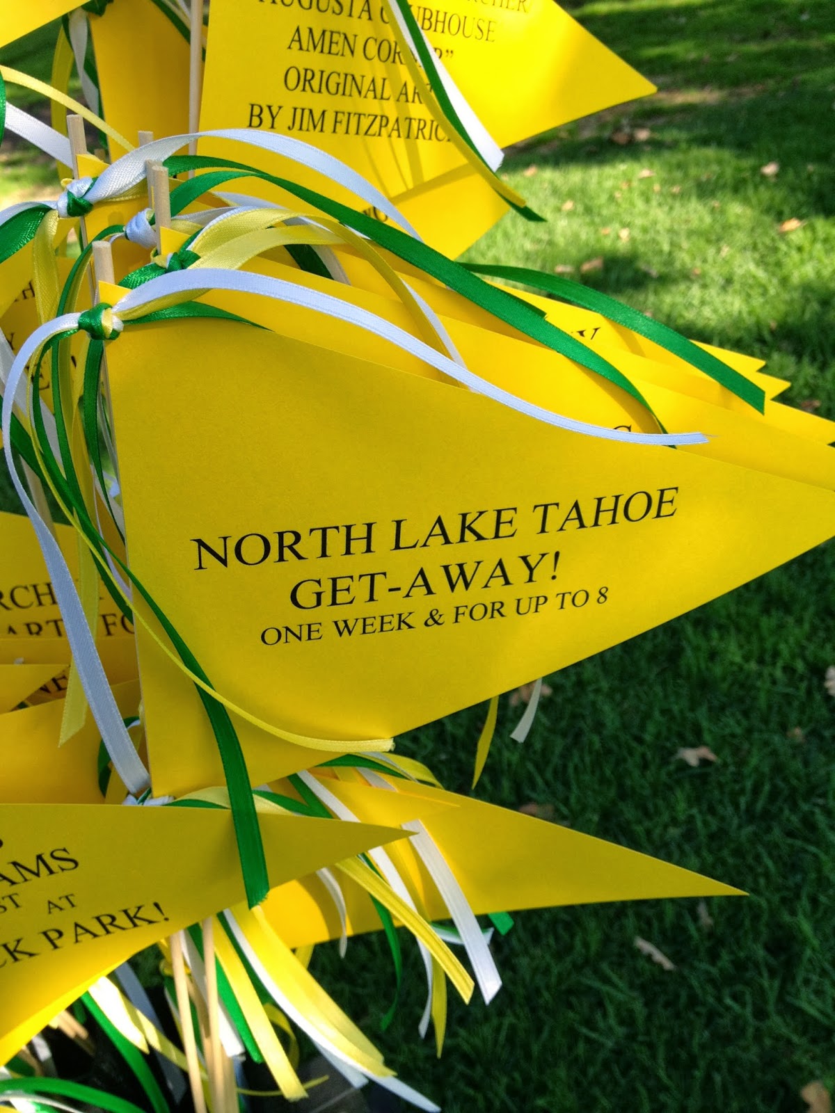 Jac o' lyn Murphy: Golf Tournament Flags