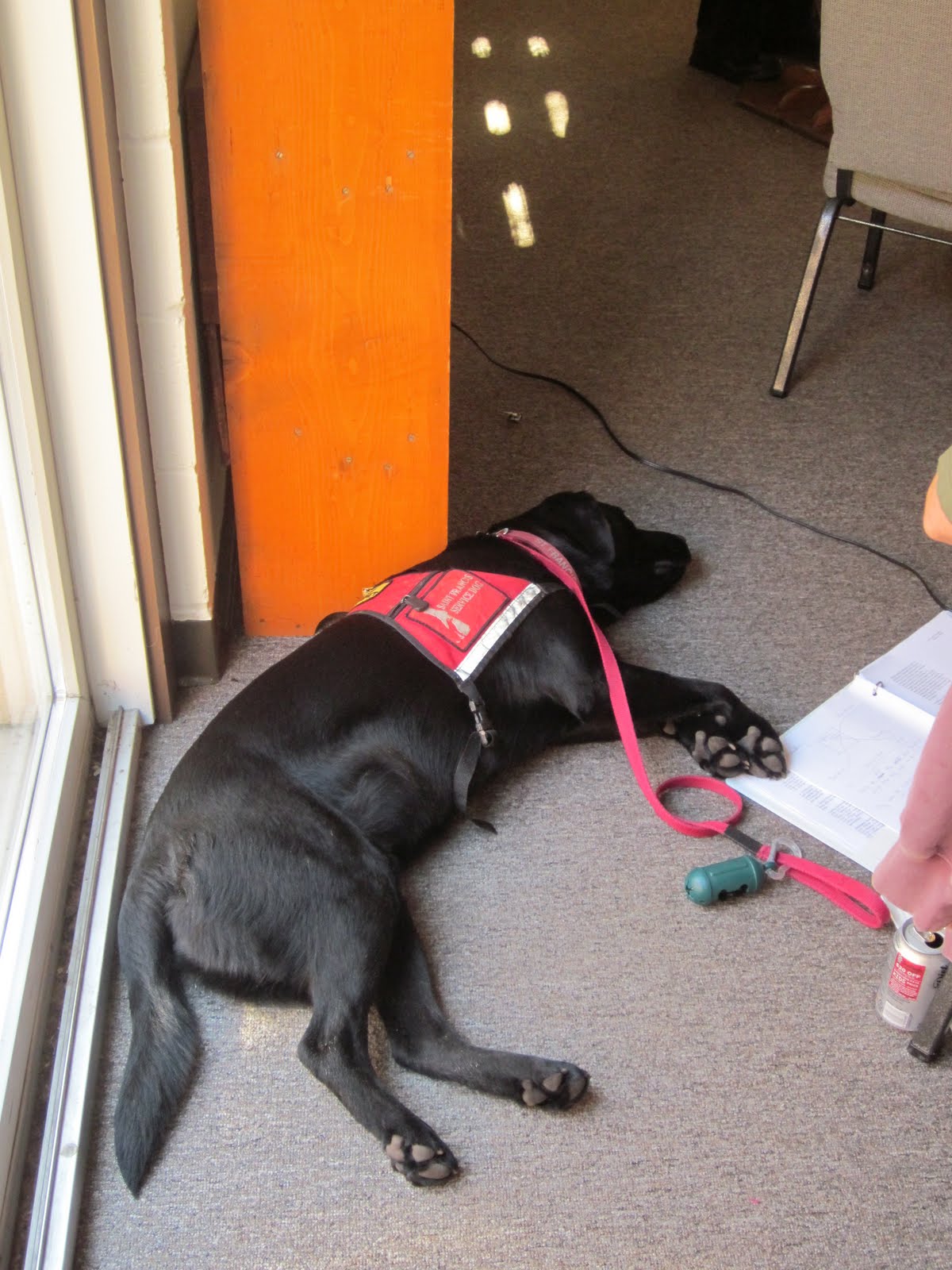 Susquehanna Service Dogs: Building a Relationship with Dogs: ADI North ...