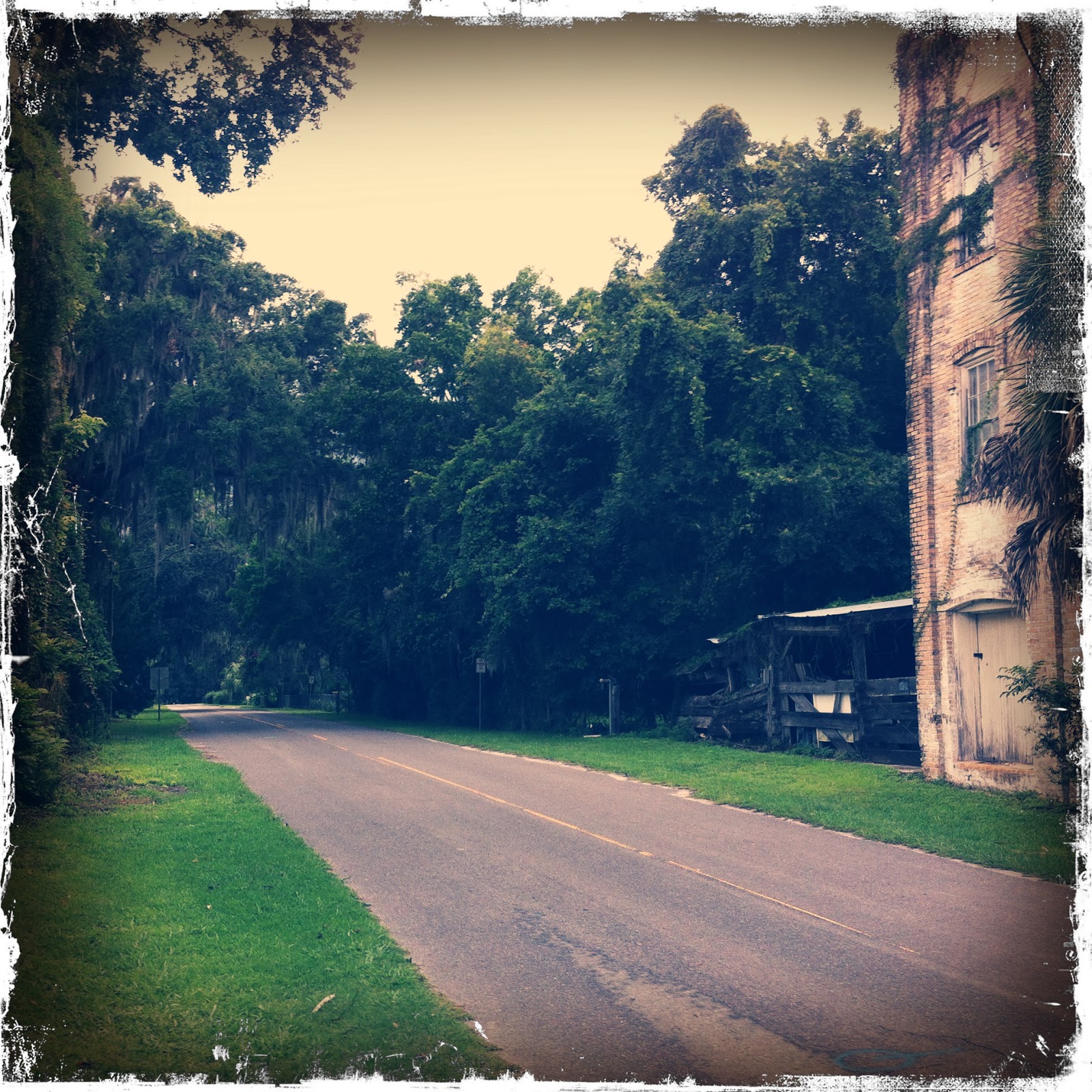CaseyMOORE: Micanopy, Florida