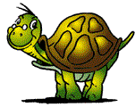 Animation Bundle: Animated Turtle Gif Same Slow and Steady Worker Doing ...