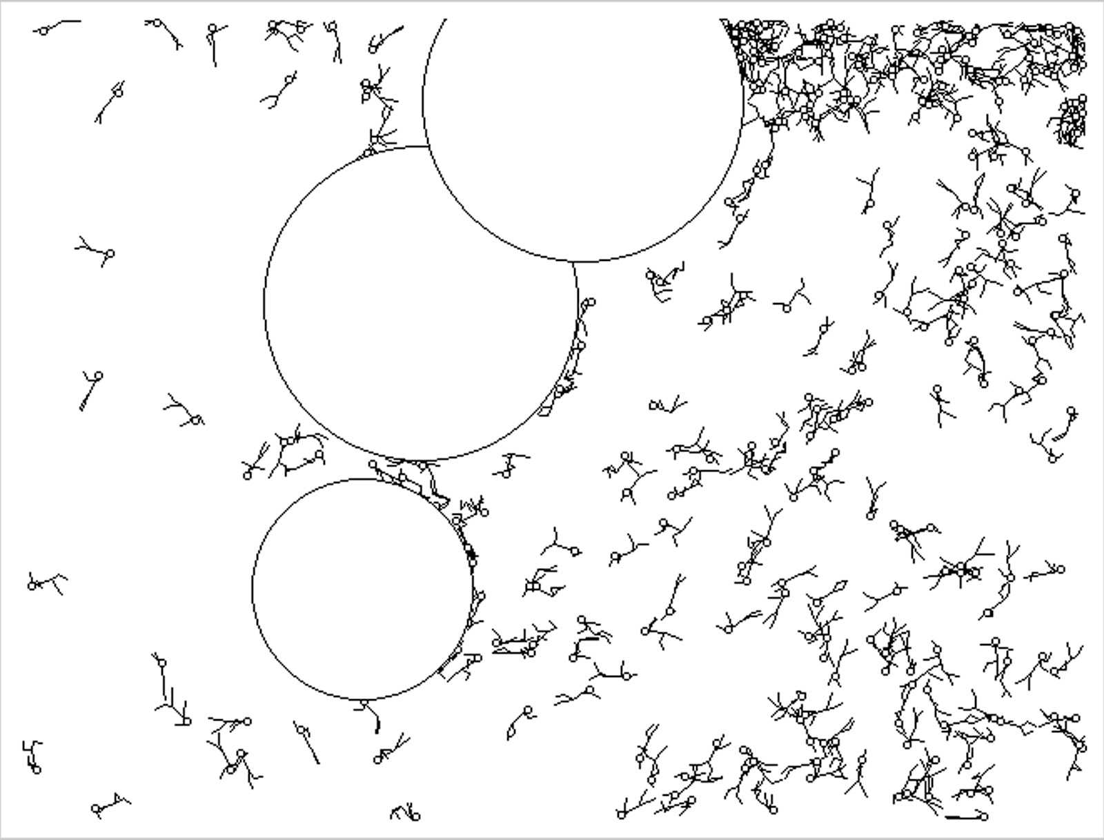 Creative Coding DSDN 142 Marina Voronova