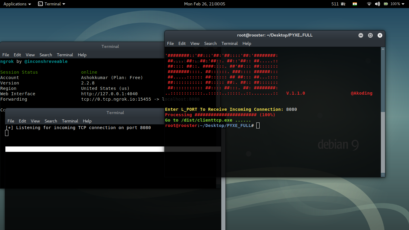 Remote windows shell connection Using PYXE tool [ngrok integrated]