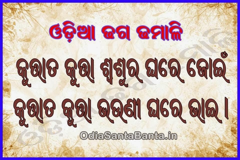 Odia Dhaga Dhamali collection 3