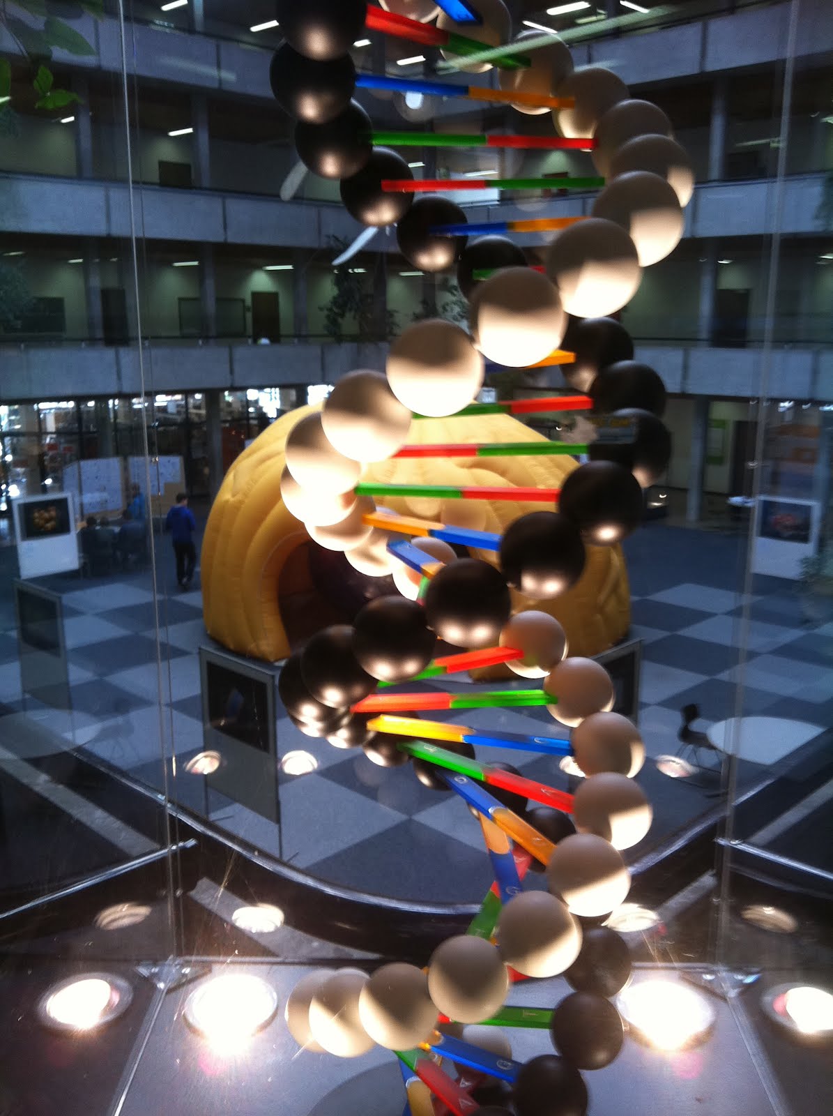 The Giant Cell: Photos