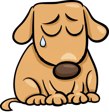 Planse de colorat si fise pentru copii: CATELUL - IMAGINI cu Animale ...