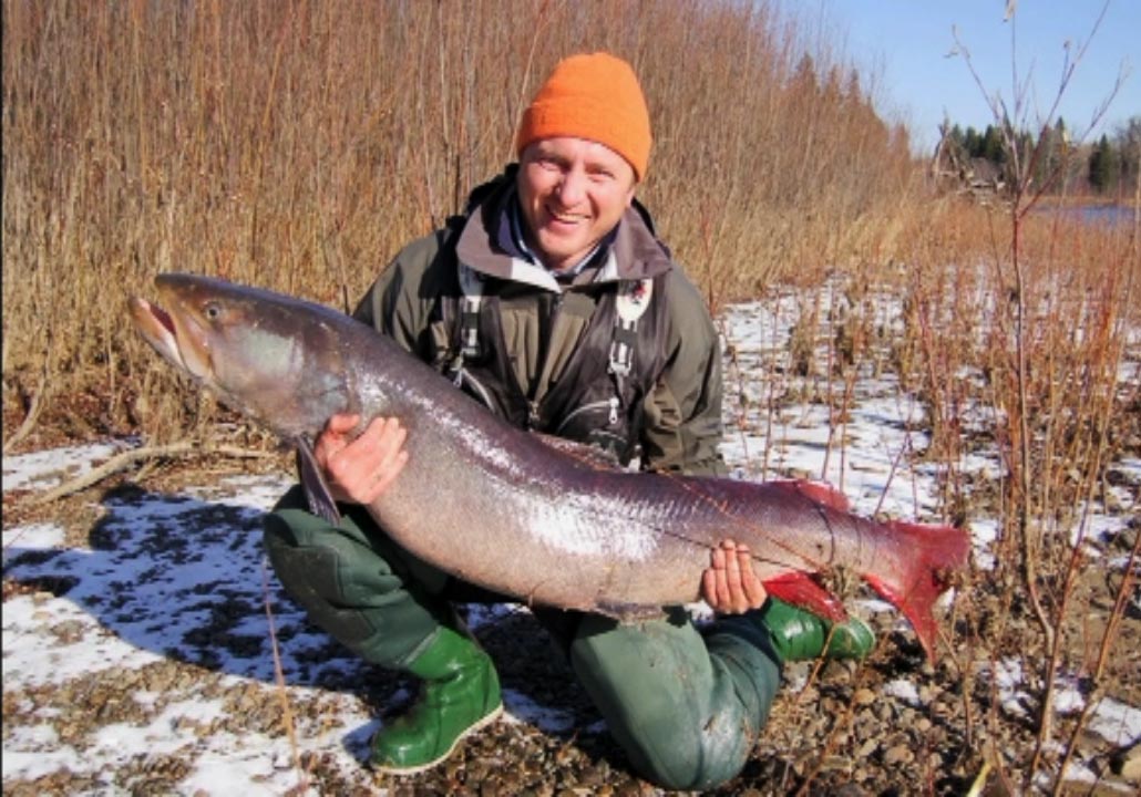 Chavanga Fish Blog: Hucho taimen fishing. Giant fish. Part 4.