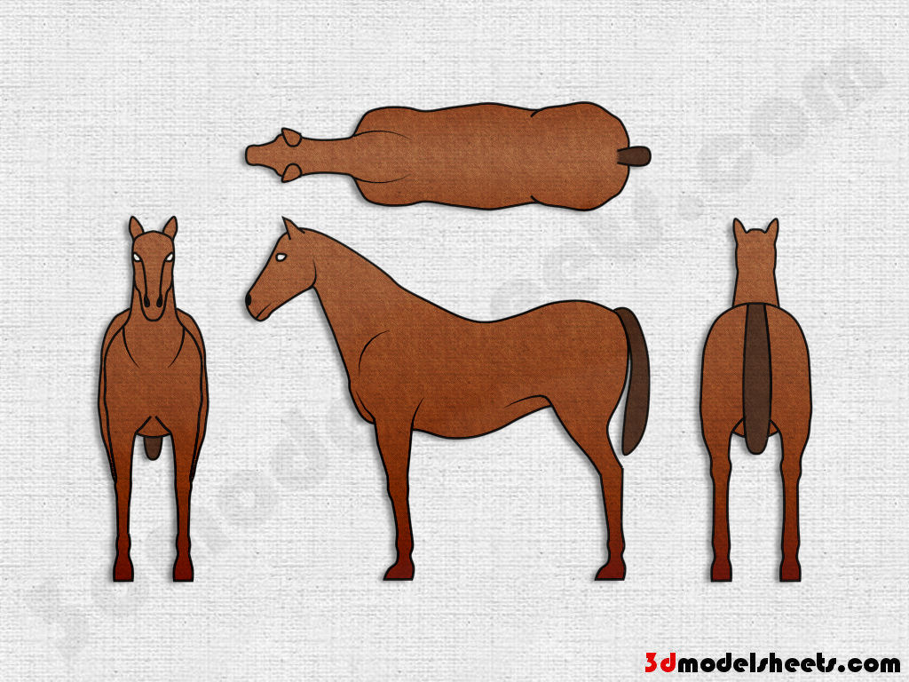 HIGH RESOLUTION TEXTURES: Free Animal Blueprints &Model Sheets