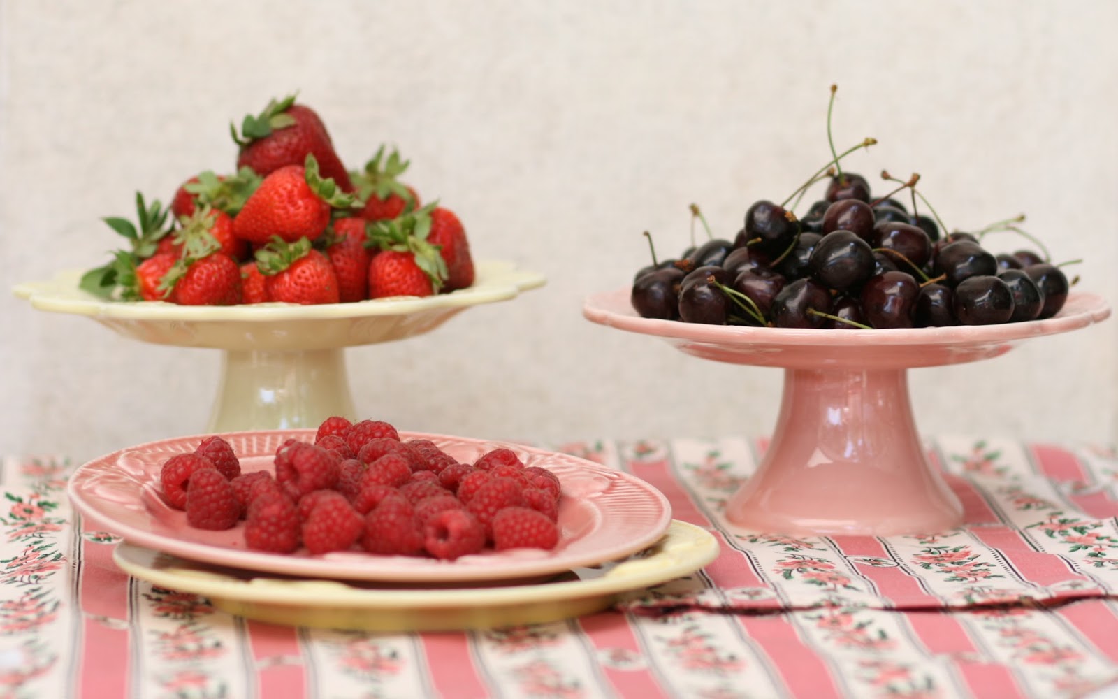 living places & you: frutos vermelhos