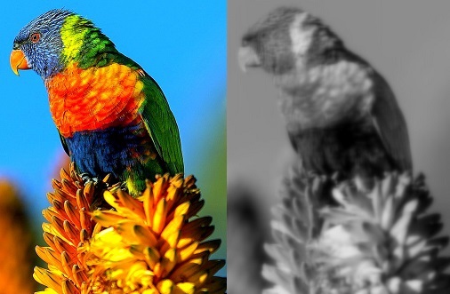 Achromatopsja - ślepnąc od światła