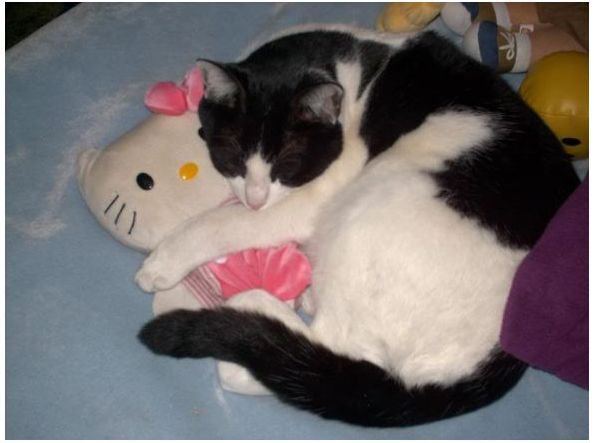 November 2011 | Hello Kitty Forever