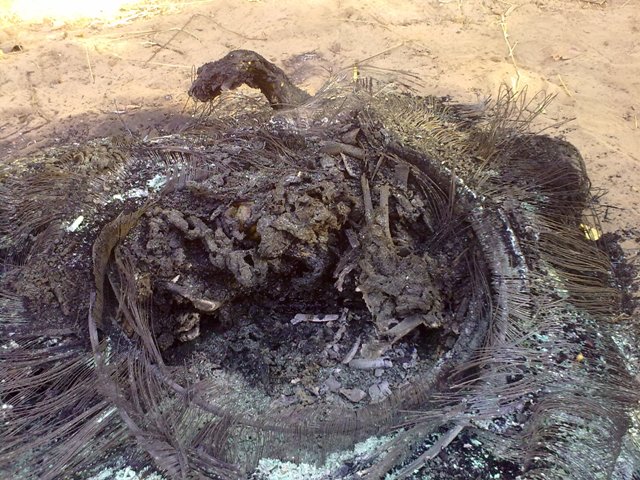 Deformutilation: Burning the Human Body