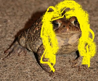 Frozen Moments: The Story of the Bald Frog, Alfred