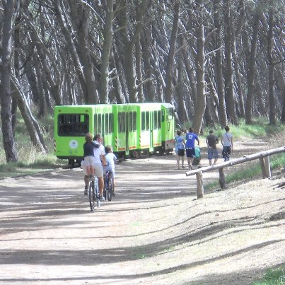 necochea ciudad por descubrir: PARQUE MIGUEL LILLO