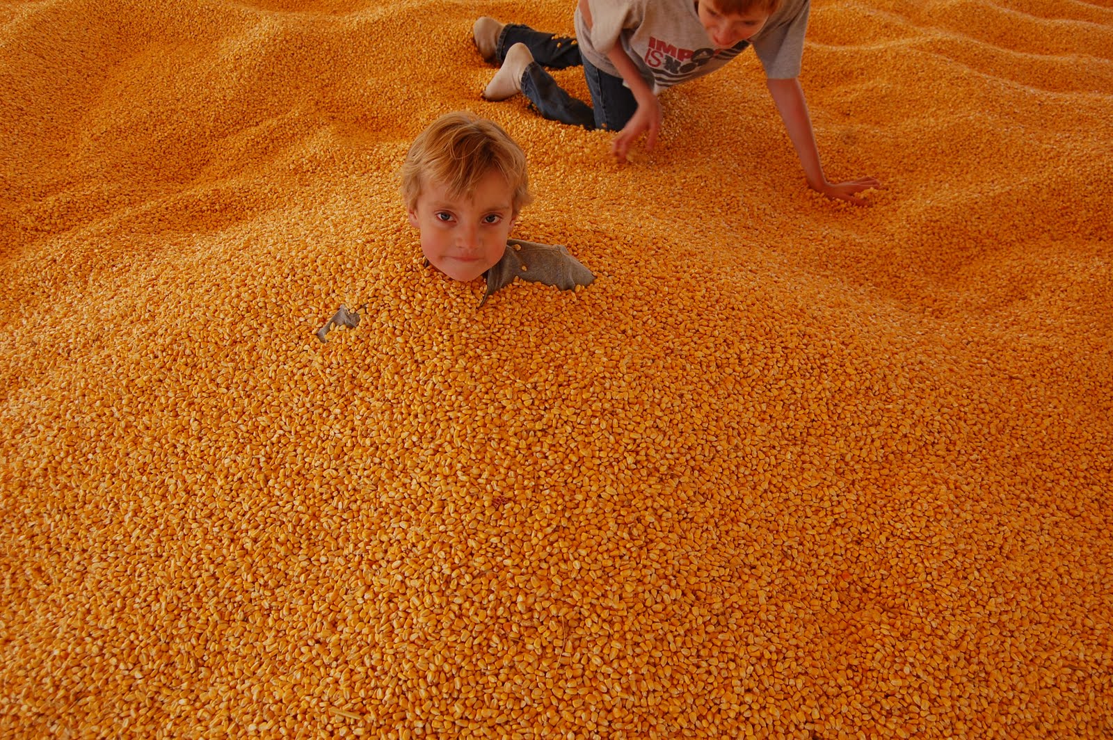 Apple Valley Mom and kiddos too!: Sever's Corn Maze