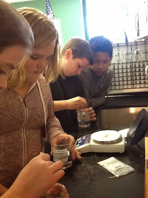 Burlington Public Schools Blog: Day 26 - Brine Shrimp Lab Project ...