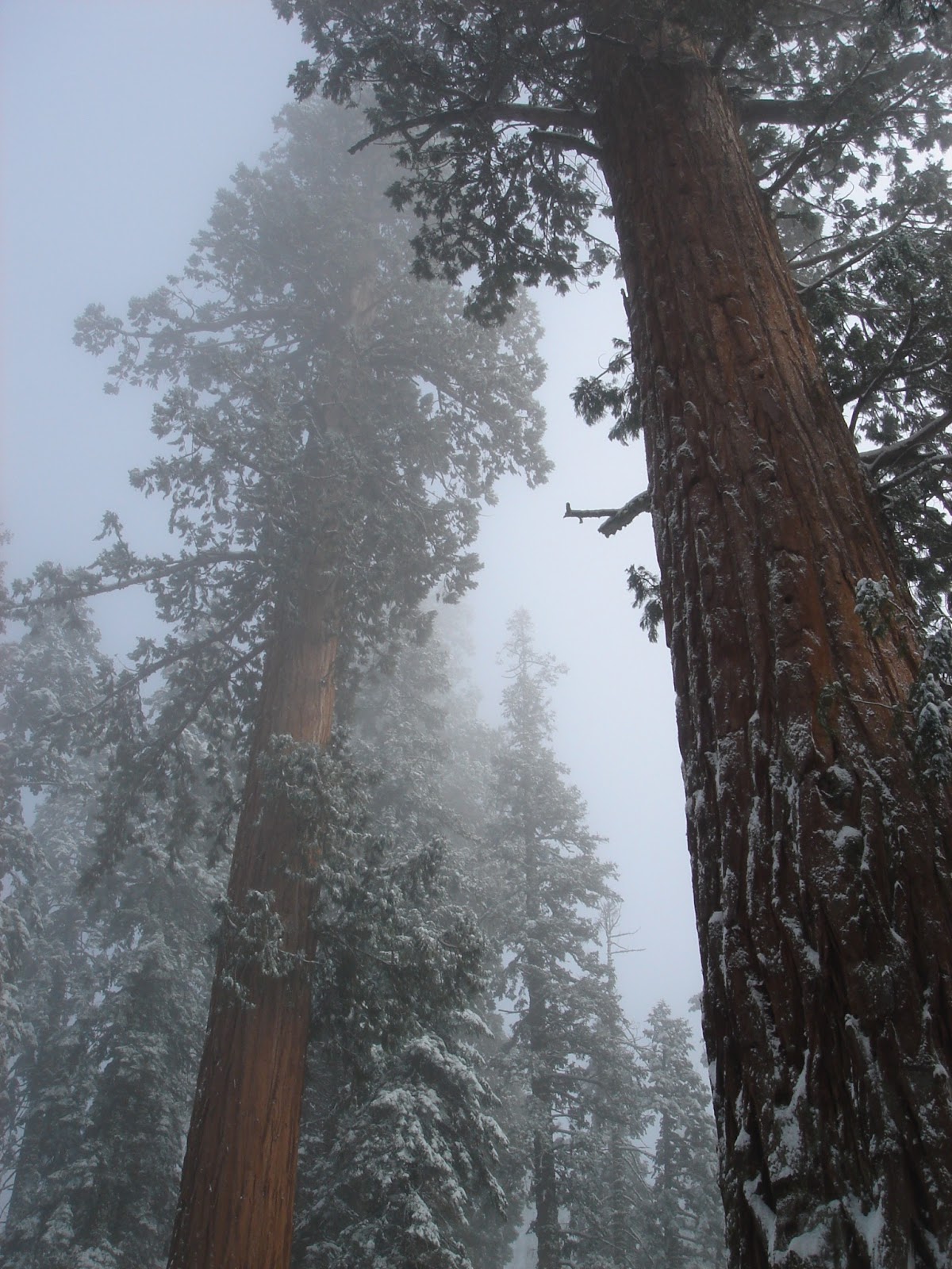 Geography of the Sierra Nevada Mountain Range: Sequoia National Park