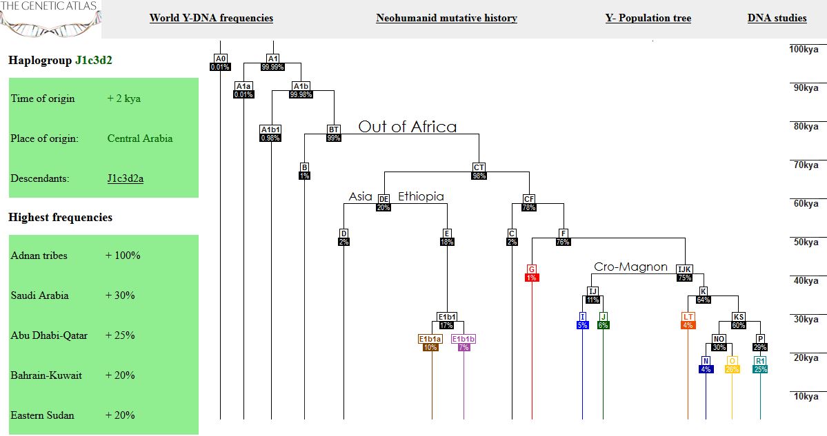 Y Haplogroup E-V12+ and Haplogroup J1c3d2