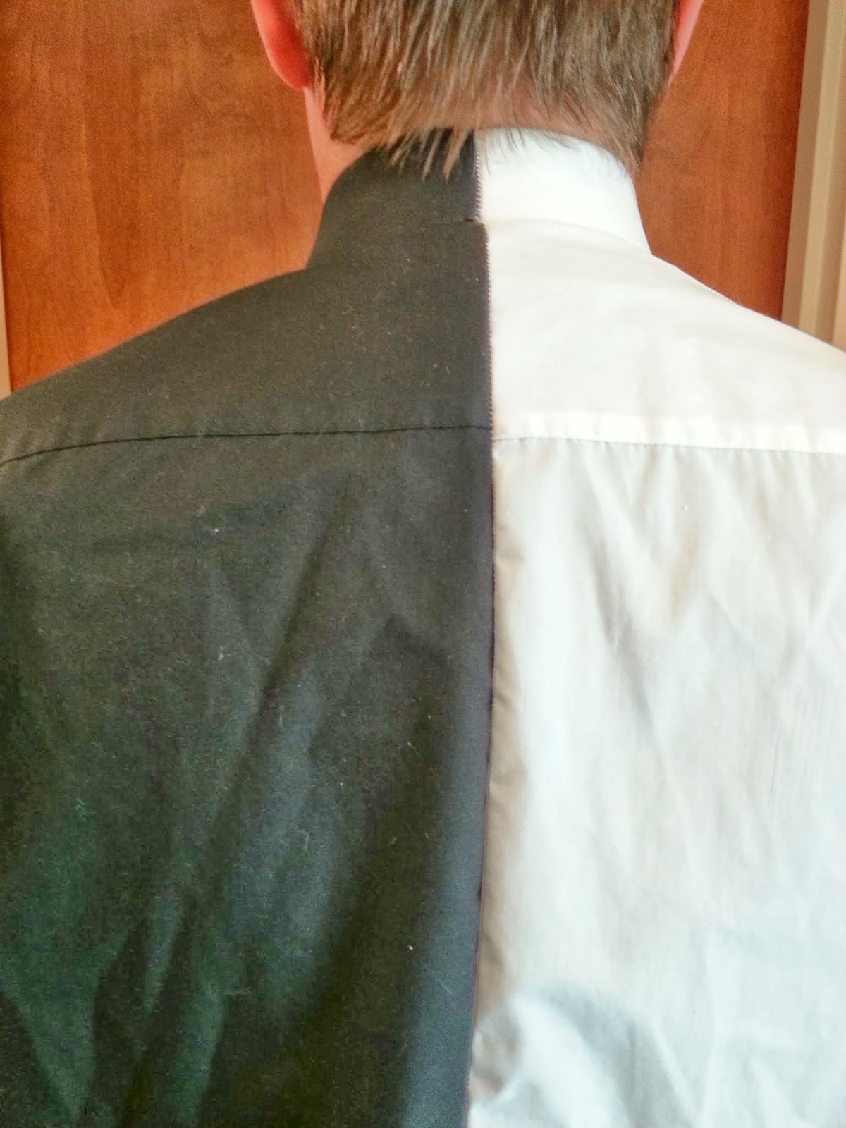 With Our Powers Combined: Two-Face Costume