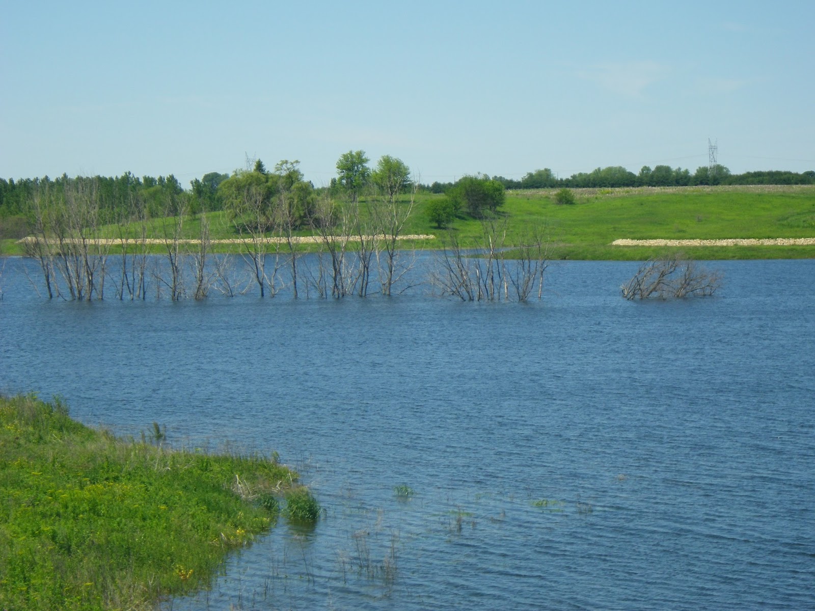 The Lost Grove Lake Mapping Project: It's Getting Closer To Full