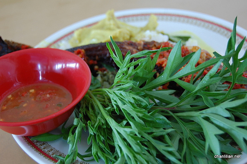 Khasiat Ulam - Ulam Raja! ~ Bicara Taman Jawi Indah