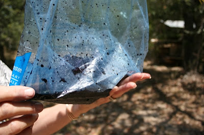 Buzzing and Bumbling: Batik Tutorial