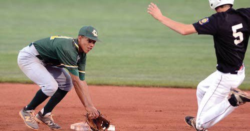 Lewis-Clark Twins & Cubs: Twins open districts with win