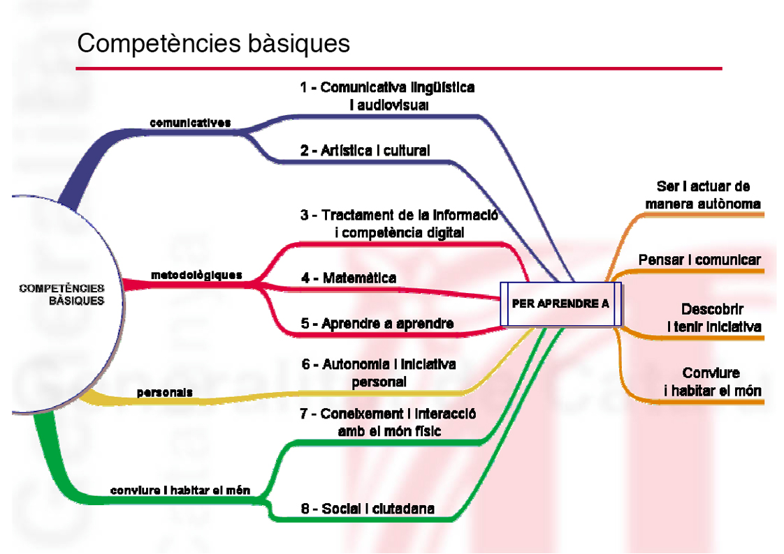 L'EXPRESSIÓ ORAL EN L'EDUCACIÓ PRIMÀRIA: Les Competències Bàsiques