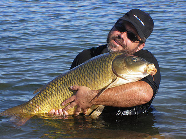 LOS PICHURRIS EN EL RINCÓN DE LA VICTORIA. UN DÍA DE AMISTAD COMPARTIDA ...