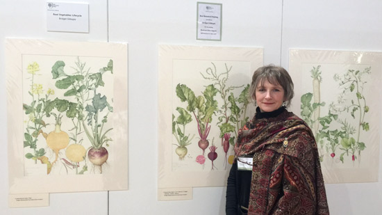 MAKING A MARK: RHS Botanical Art Show 2017