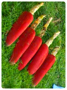 Organic Way of Living: Buah Merah Mix Health Benefits