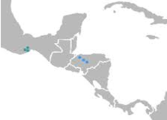 Etnias Tolupan y Garifuna: Etnias Tolupán y Garifuna