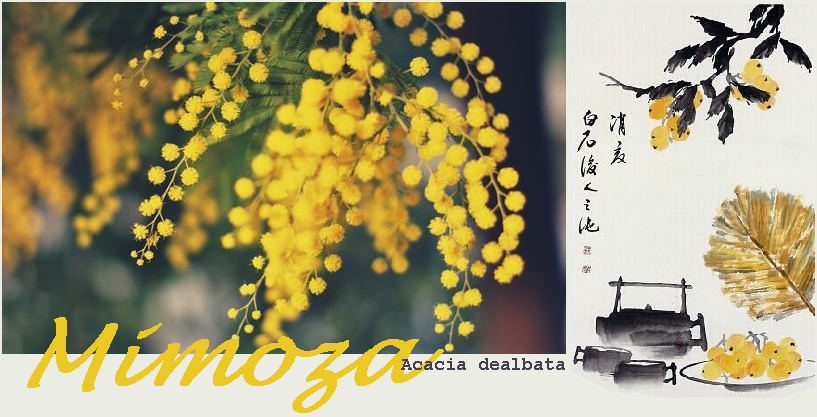 101 cvet : lipnja 2017