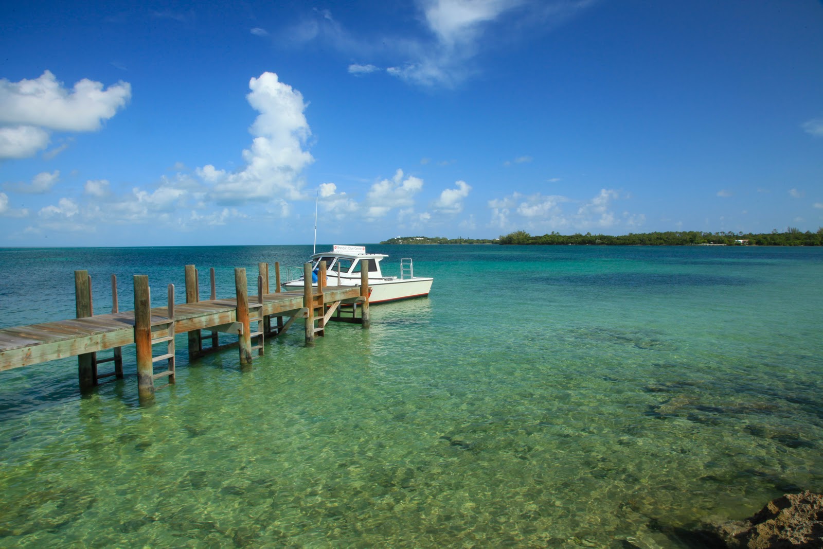 Bahamas - No lo has visto todo: INCREIBLE GRAND BAHAMA ISLAND