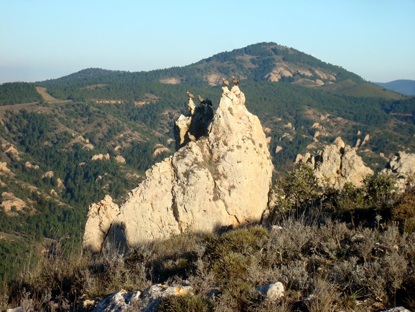 MONTES: 82. PEÑA ISASA, 1.472 m. (14,5k 550+). Muro de Aguas. La Rioja.