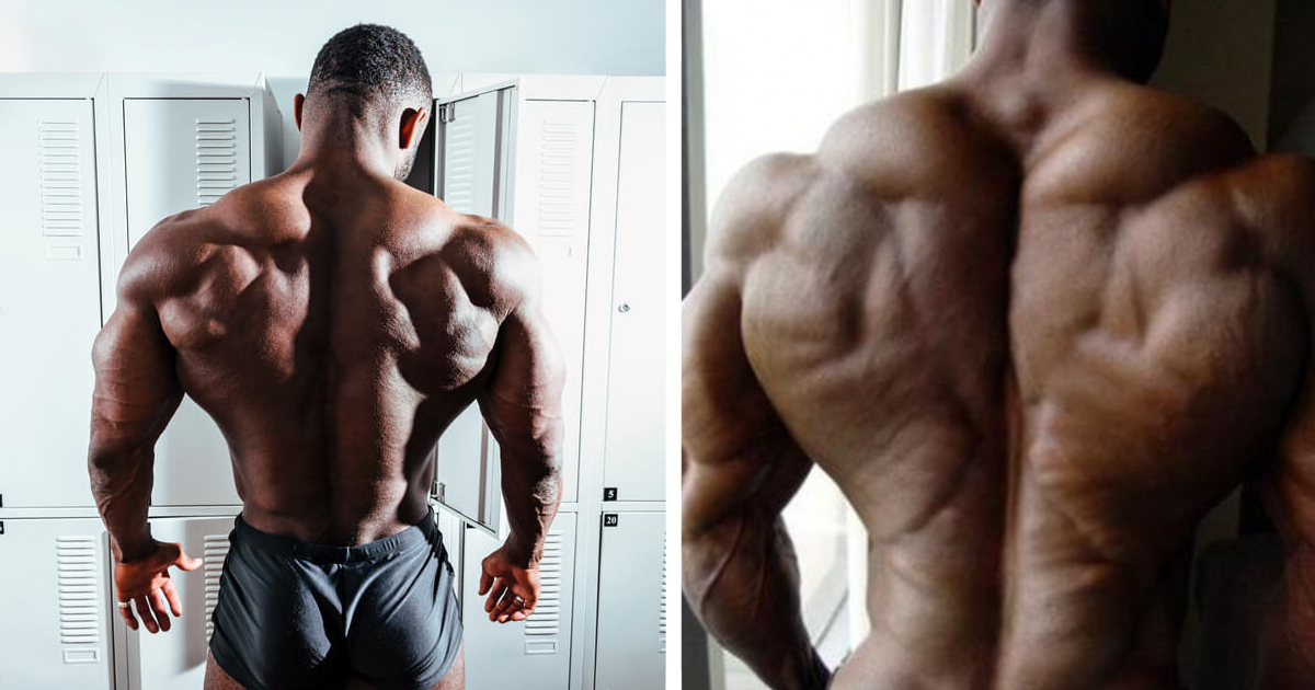 The 4 Best Exercises to Build Monster Traps ! - SHREDDEDFIT