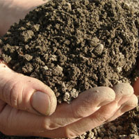 ARBICO Organics: Hum - Humus – Humble - Human