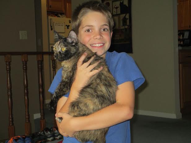 Warriors by Erin Hunter - Juvenile Novel Series Review