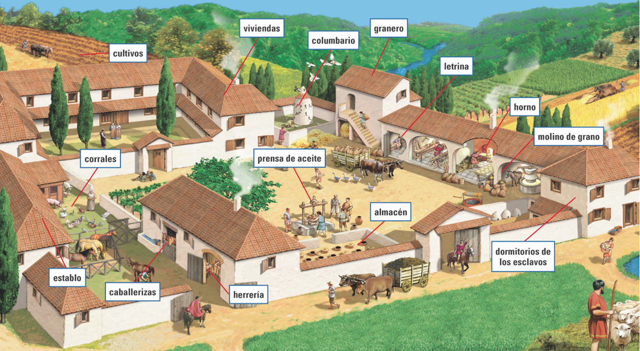 Las Villae Romanas | Museo Caldoval