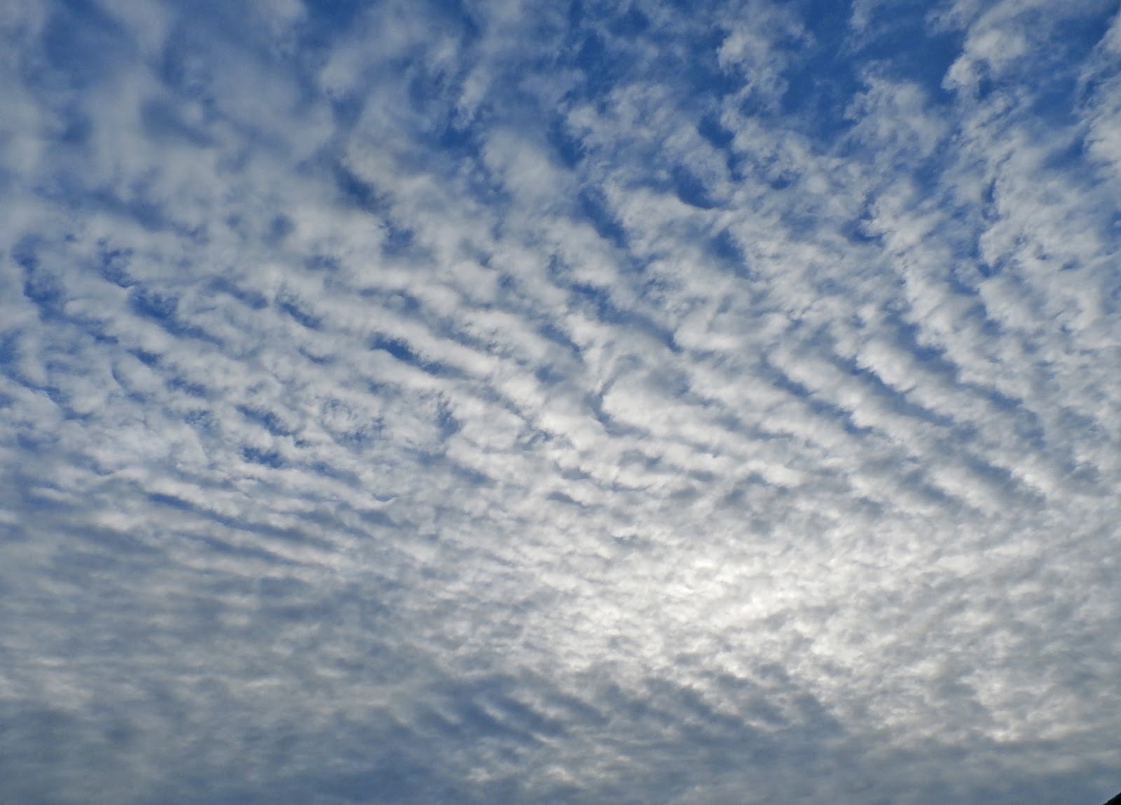 Larry's Photo a Day: Patterns in the Sky.......