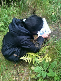 The Story of Fred the Ted | Creative STAR Learning | I'm a teacher, get ...