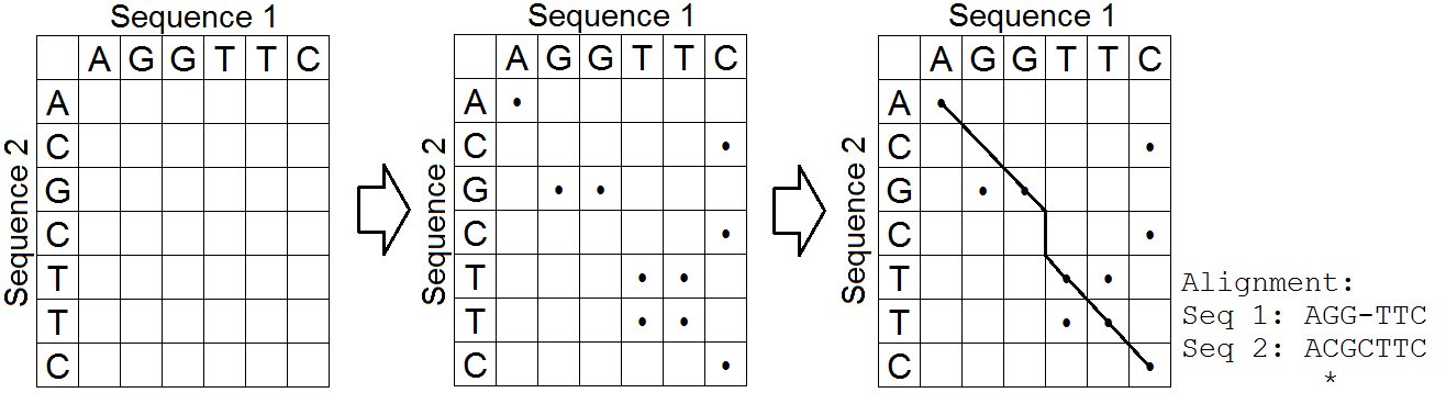 It's Everything About Biology: Sebuah Tulisan Evolusi dan Filogeni ...
